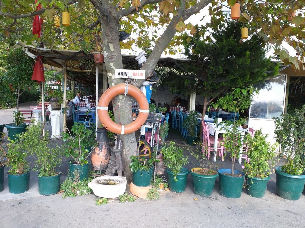 Akın Balık - Mekan Ajandası